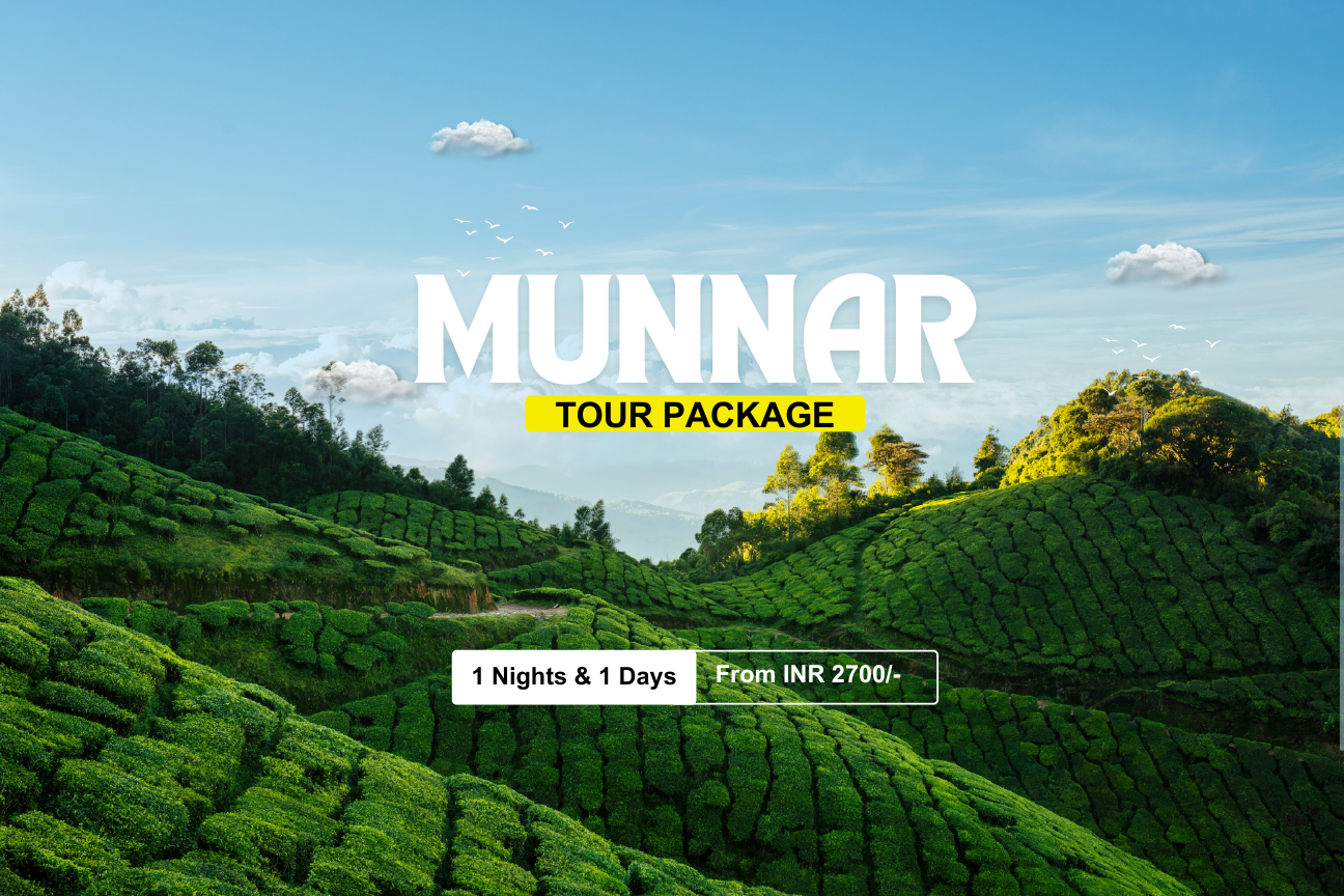 Munnar Day Trip: Nature and Culture Exploration - Trip Buggy - Things ...
